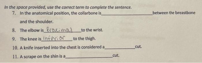 Solved In the space provided, use the correct term to | Chegg.com