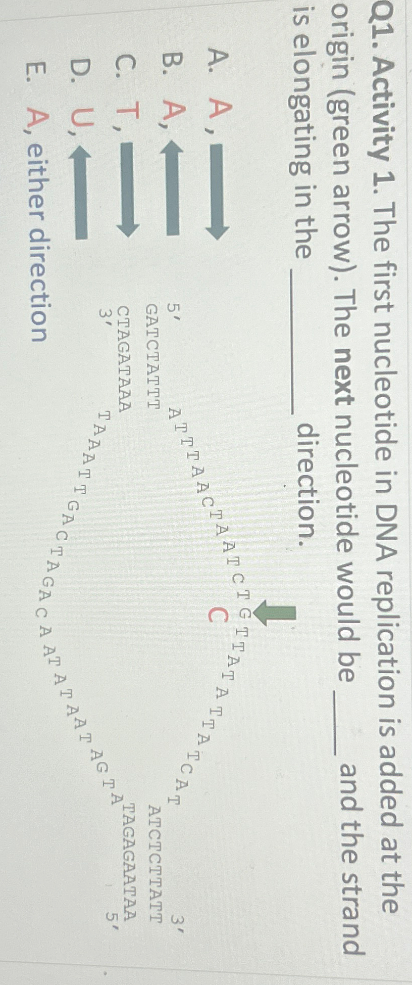 Solved Q1. ﻿Activity 1. ﻿The first nucleotide in DNA | Chegg.com