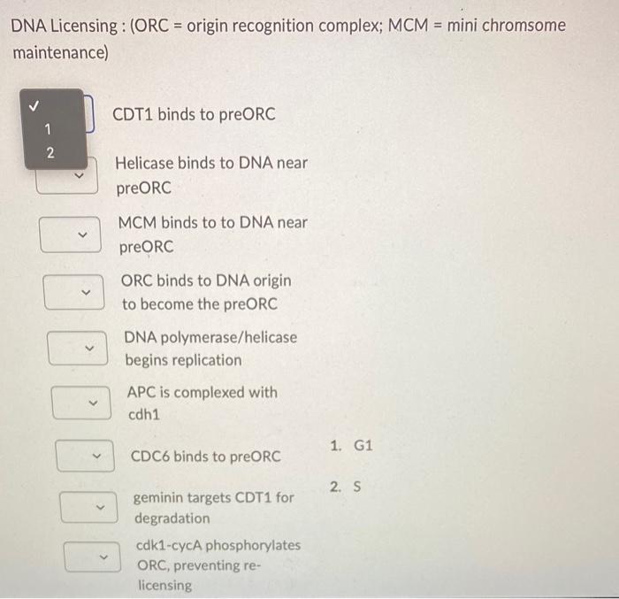 DNA Licensing : (ORC = origin recognition complex; | Chegg.com
