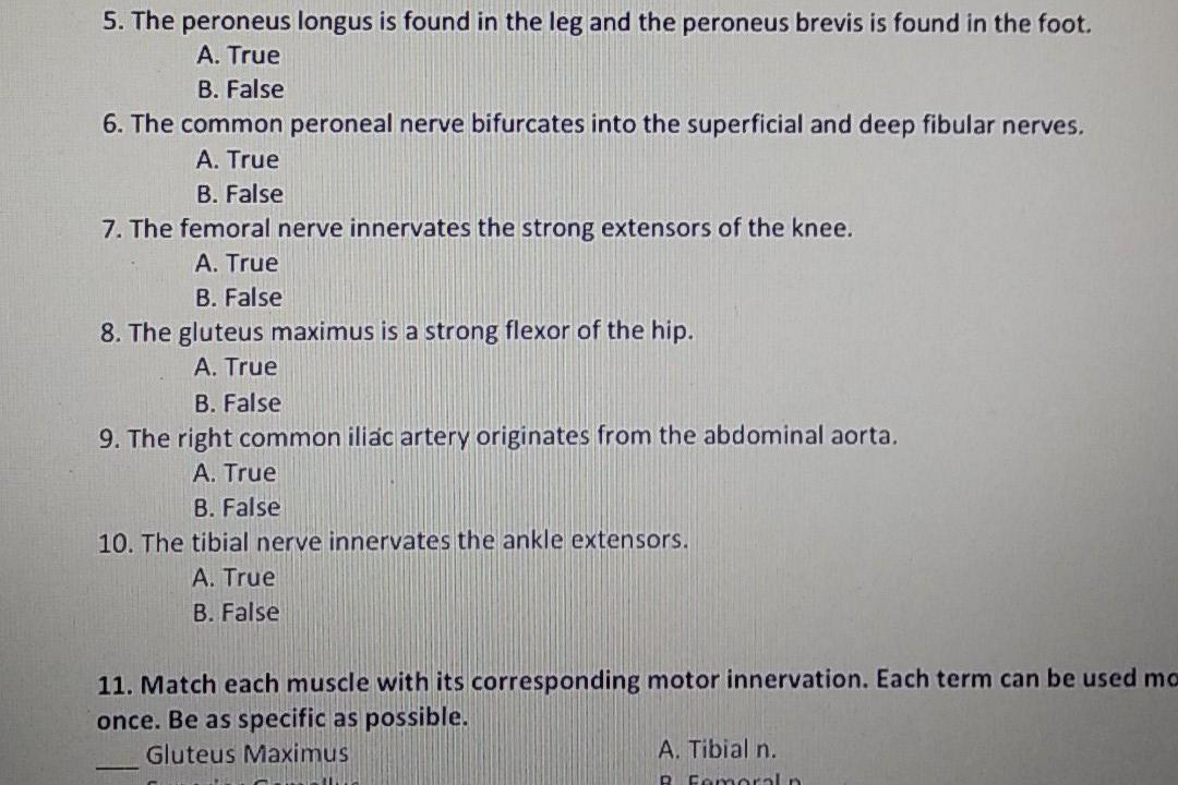Solved Block 5 Homework: Lower Limb True or False Determine | Chegg.com