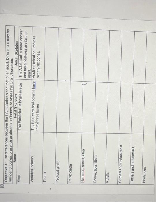 Solved 47π Objective 4: List differences between the infant | Chegg.com