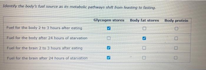 Solved Identify the body's fuel source as its metabolic | Chegg.com
