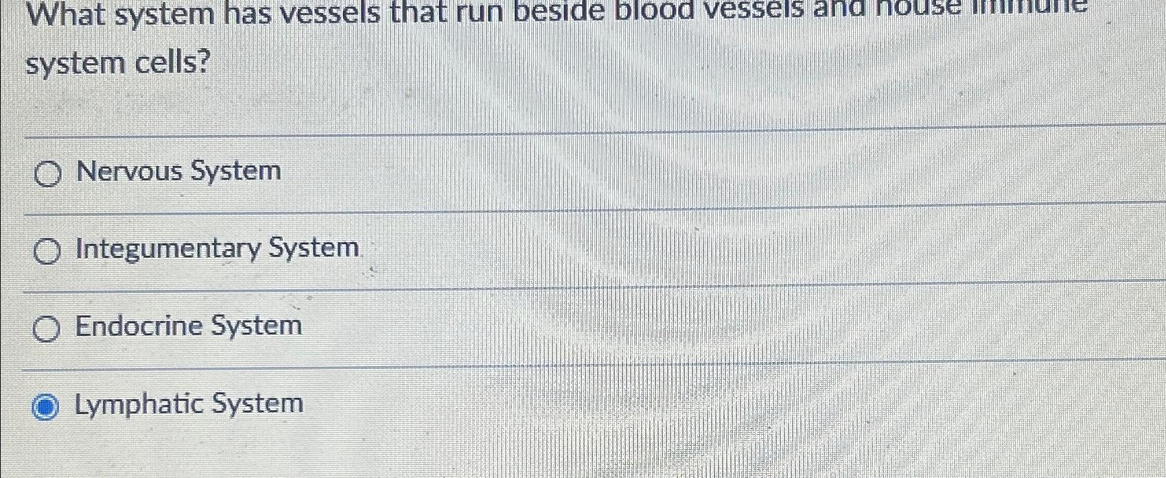 Solved What system has vessels that run beside blood vessels | Chegg.com