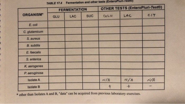 Solved Fermentation and other tests (EnteroPluri-Teste) | Chegg.com