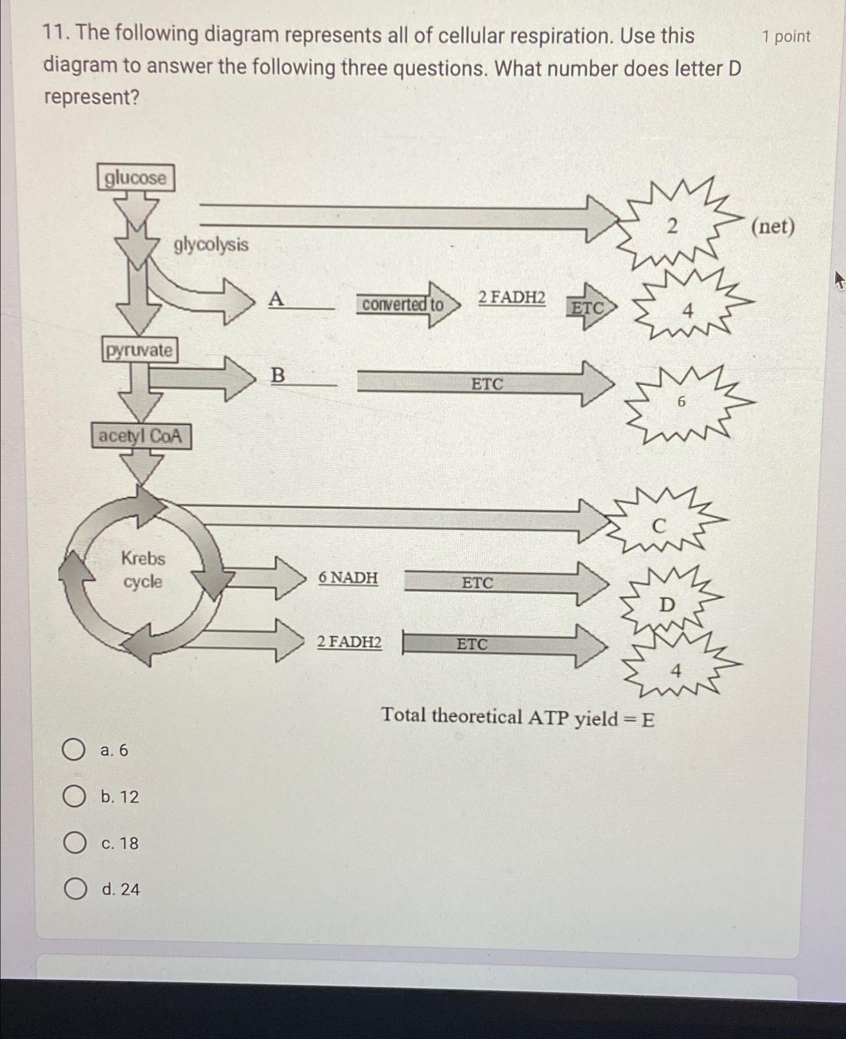Solved The following diagram represents all of cellular | Chegg.com