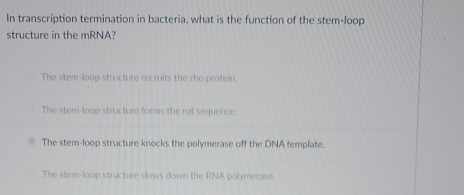 Solved In transcription termination in bacteria, what is the | Chegg.com