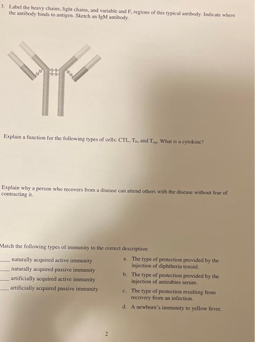 Solved 3. Label the heavy chains, light chains, and variable | Chegg.com