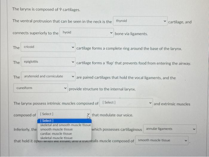 Solved The laryn x is composed of 9 cartilages. The ventral | Chegg.com