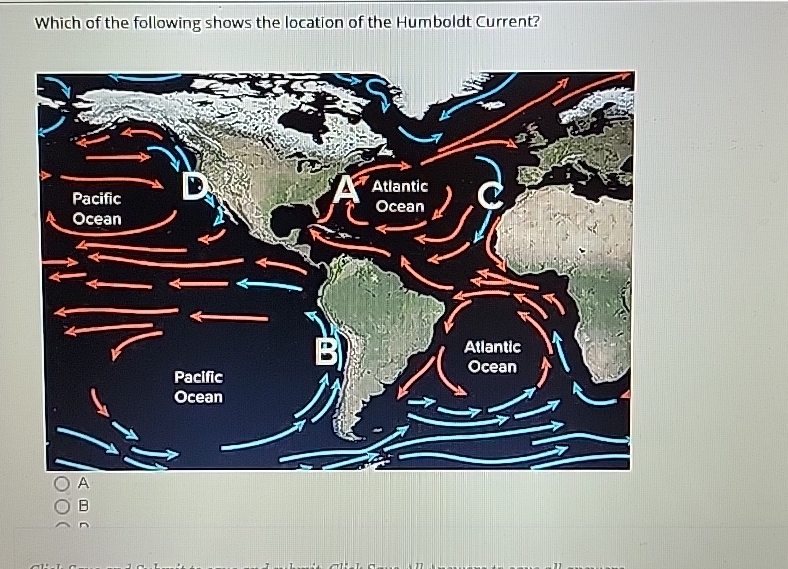 Solved Which of the following shows the location of the | Chegg.com