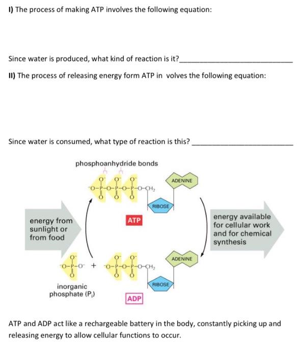 Monomer [building block] of Lipids: Draw this | Chegg.com
