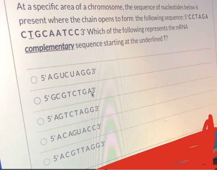 Solved At a specific area of a chromosome, the sequence of | Chegg.com