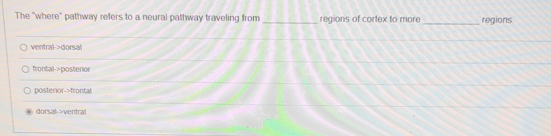 Solved The "where" pathway refers to a neural pathway | Chegg.com
