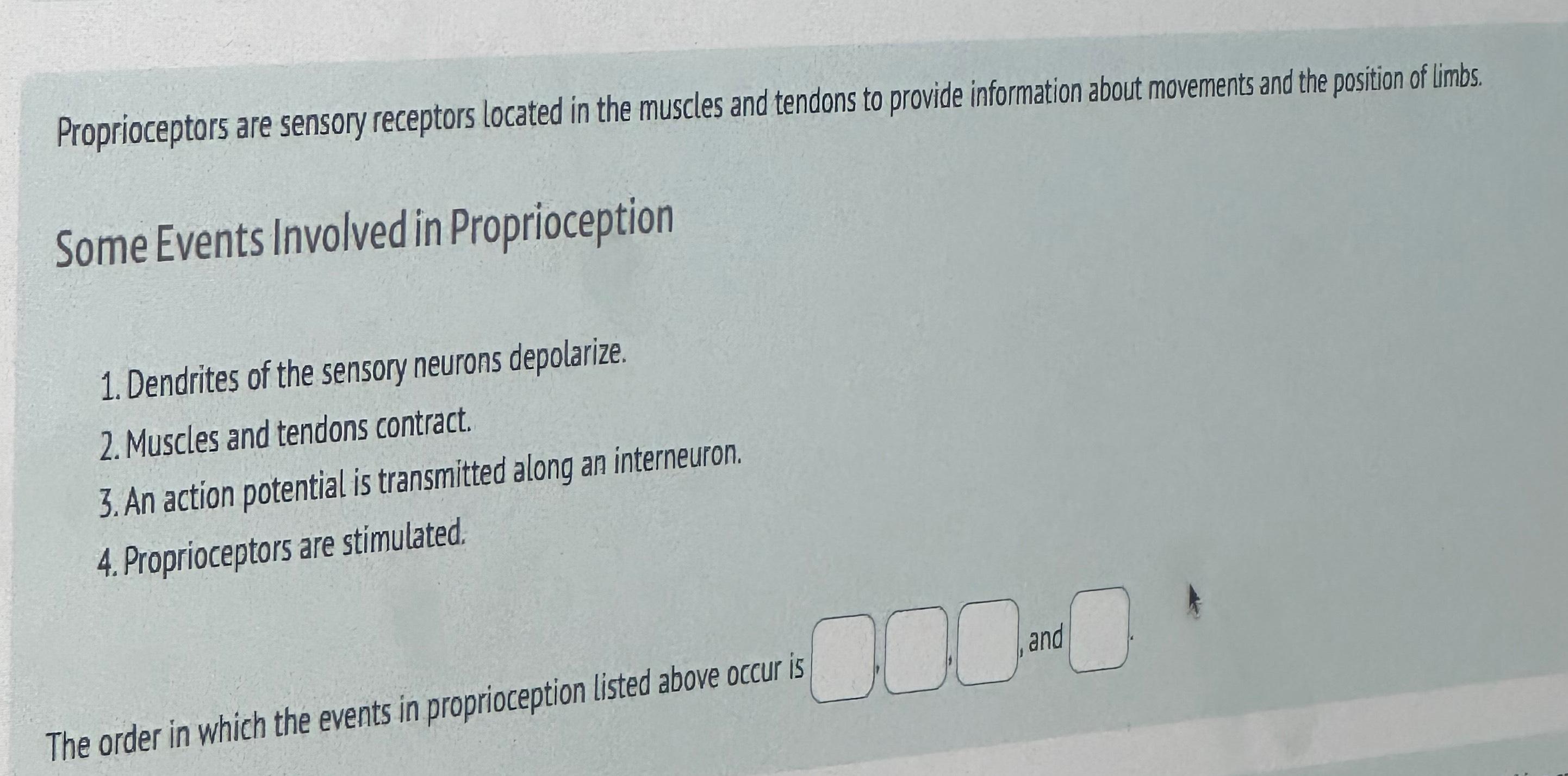 Solved Proprioceptors are sensory receptors located in the | Chegg.com