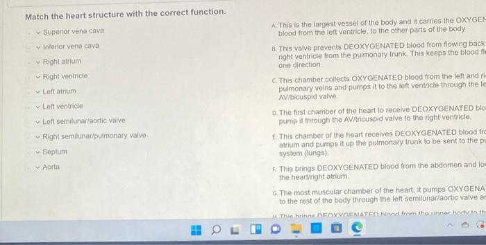 Match the heart structure with the correct function. | Chegg.com