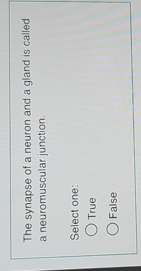 Solved The synapse of a neuron and a gland is called a | Chegg.com