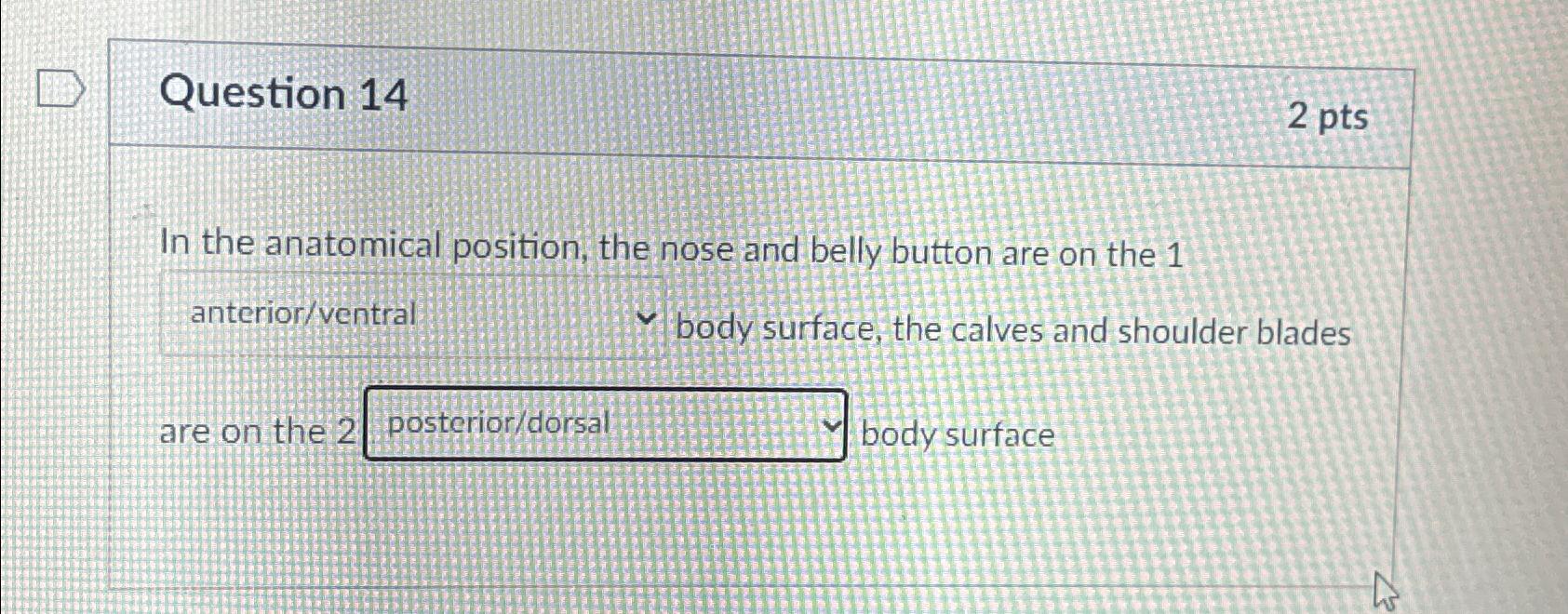 Solved Question 142 ﻿ptsIn the anatomical position, the nose | Chegg.com