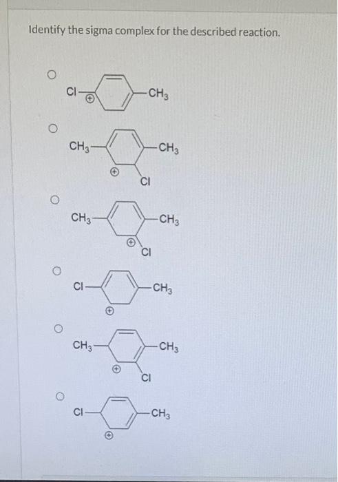 Solved Identify the sigma complex for the described | Chegg.com