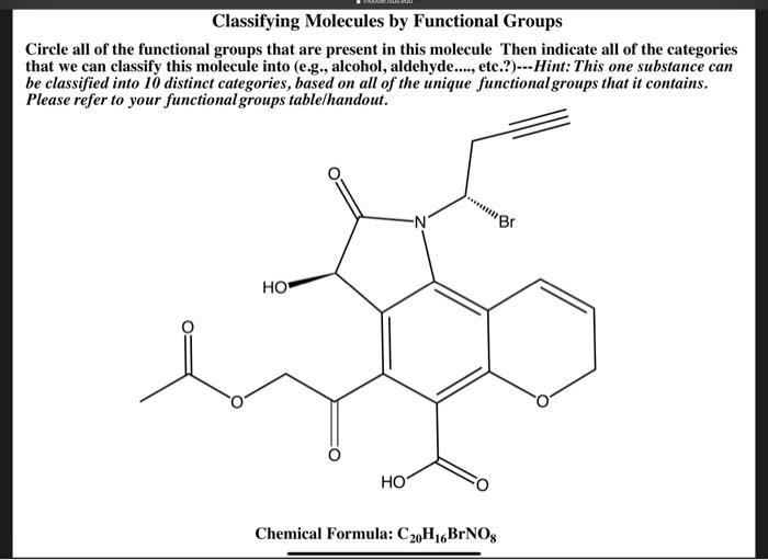 Solved Classifying Molecules by Functional Groups Circle all | Chegg.com