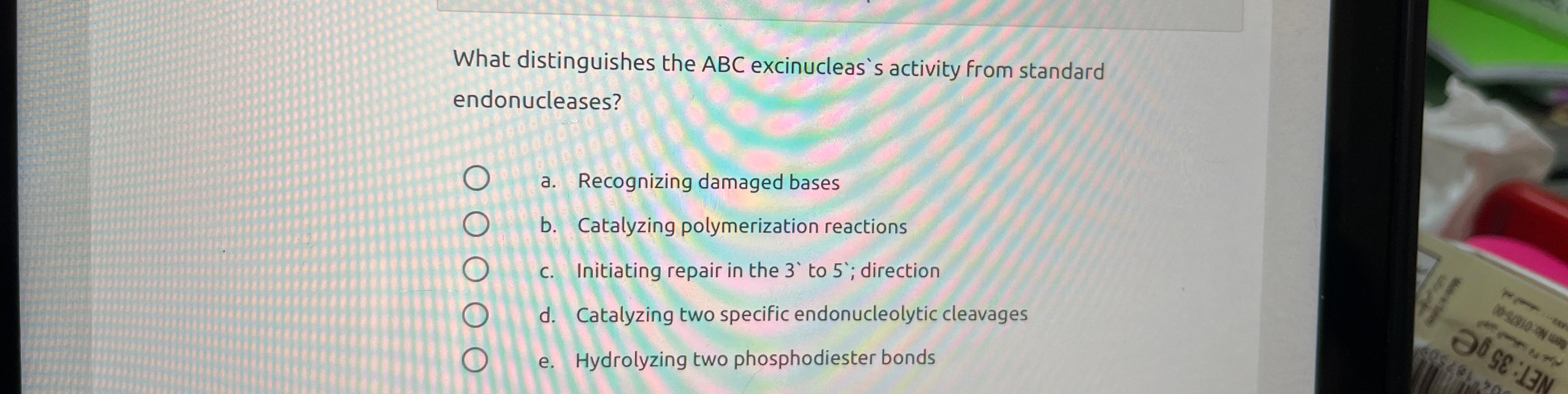 Solved What distinguishes the ABC excinucleas's activity | Chegg.com