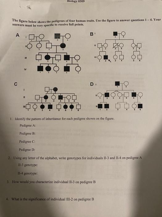 Solved The figure below shows the pedigrees of four human | Chegg.com