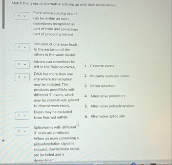 Solved Match the types of alternative splicing up with their | Chegg.com