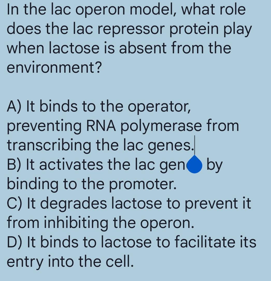 Solved In the lac operon model, what role does the lac | Chegg.com