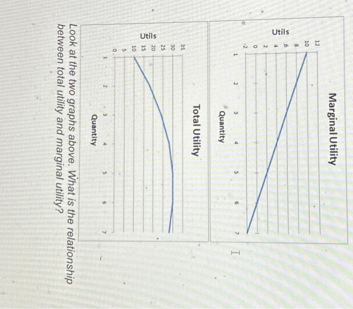 Solved Look at the two graphs above. What is the | Chegg.com