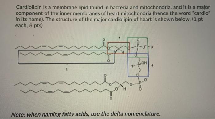 Cardiolipin is a membrane lipid found in bacteria and | Chegg.com