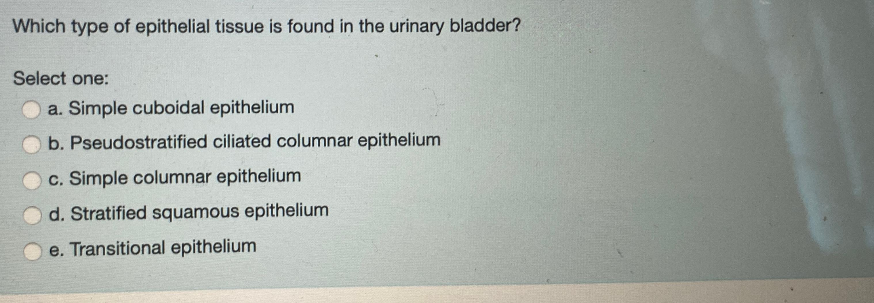 Solved Which type of epithelial tissue is found in the | Chegg.com