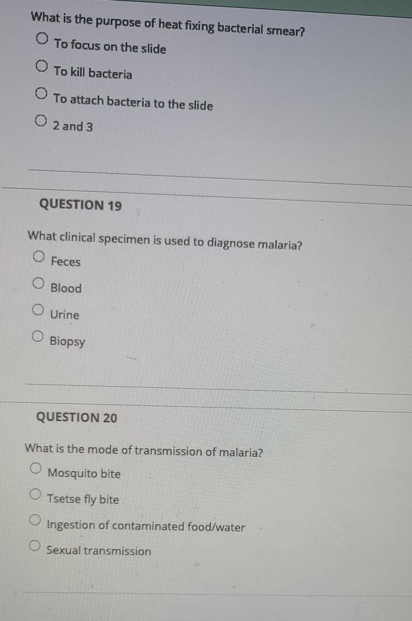 Solved What is the purpose of heat fixing bacterial smear? O | Chegg.com