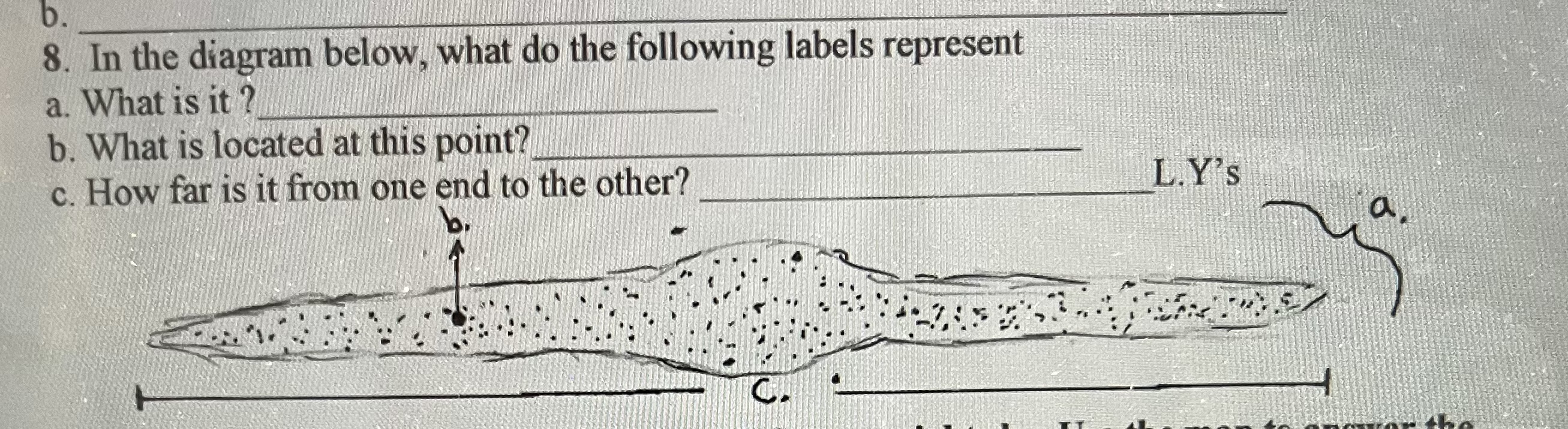 Solved In the diagram below, what do the following labels | Chegg.com