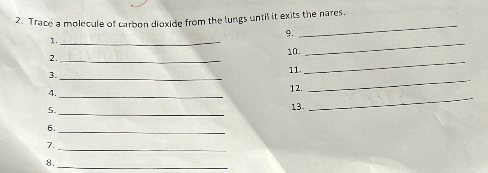 Solved Trace a molecule of carbon dioxide from the lungs | Chegg.com