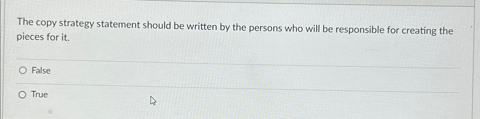 Solved The copy strategy statement should be written by the | Chegg.com