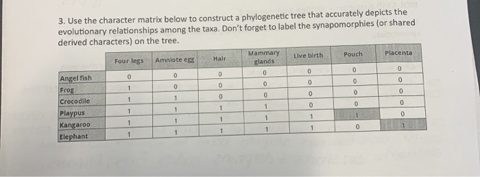 Solved 3. Use the character matrix below to construct a | Chegg.com