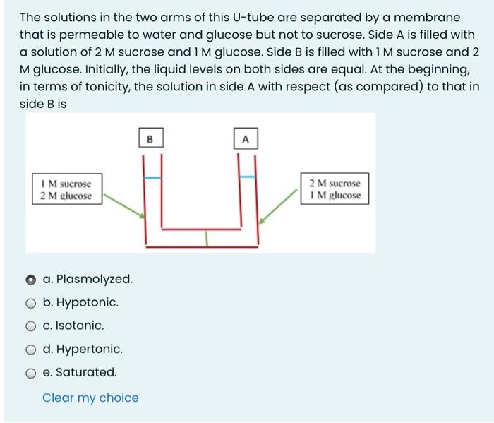 Solved The solutions in the two arms of this U-tube are | Chegg.com
