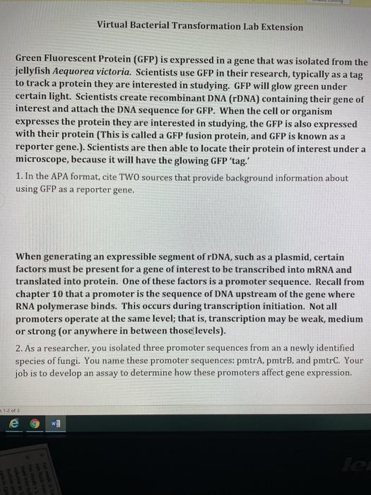 Solved Virtual Bacterial Transformation Lab Extension Green | Chegg.com