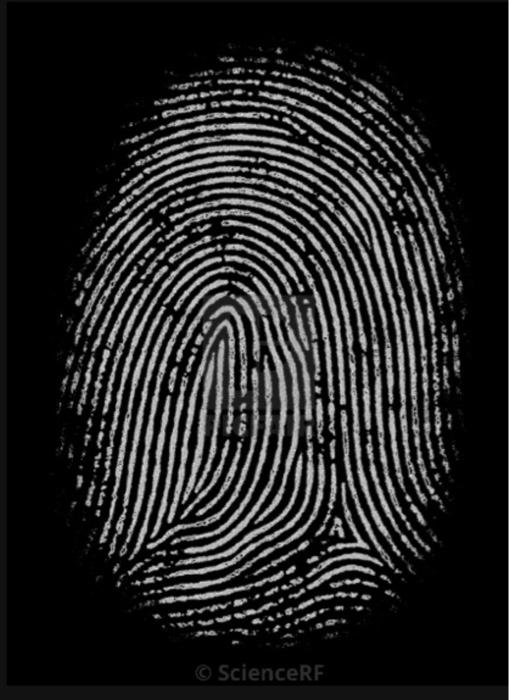 Its forensic Science. In the fingerprint below, | Chegg.com