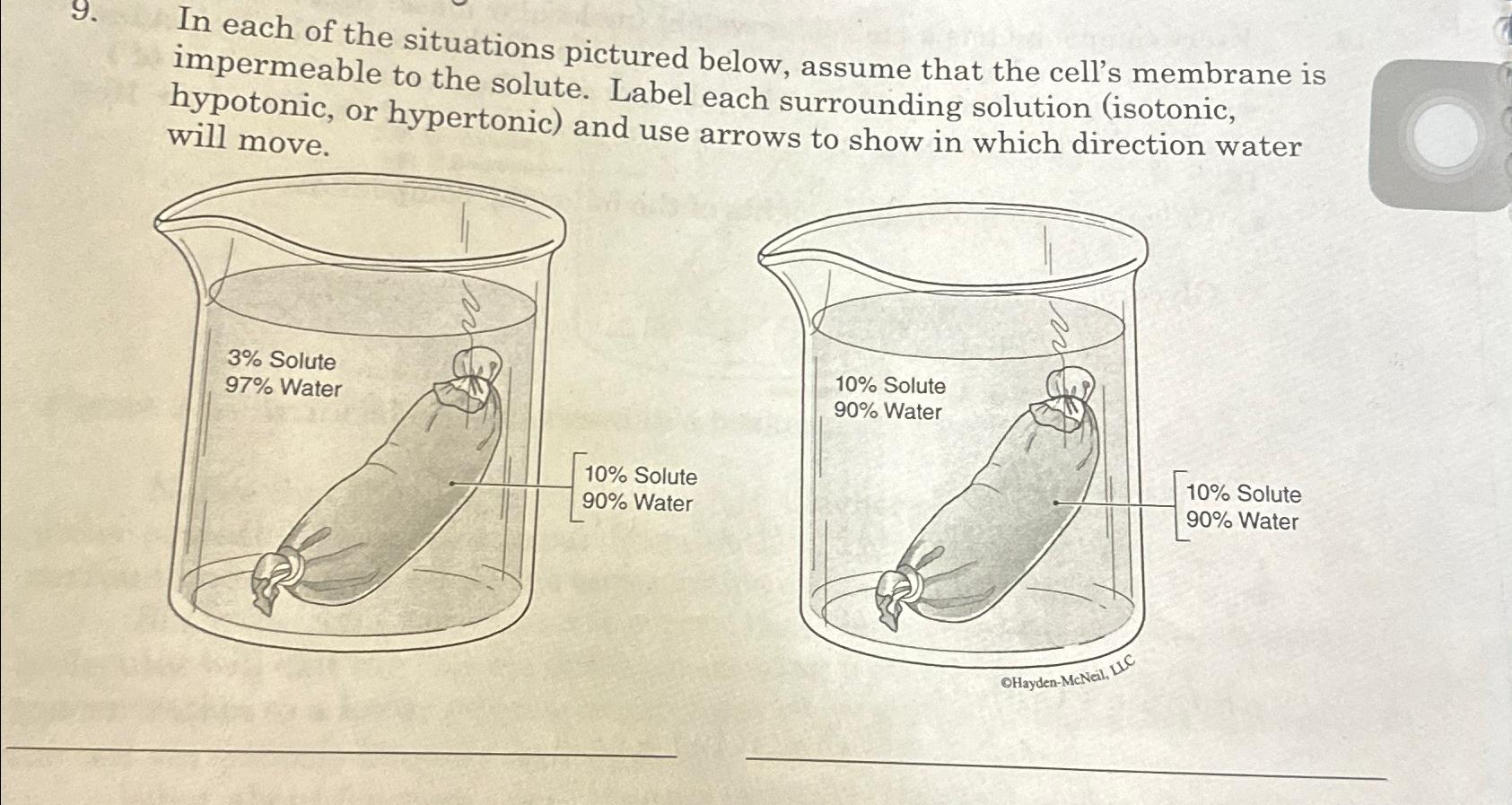 Solved In each of the situations pictured below, assume that | Chegg.com