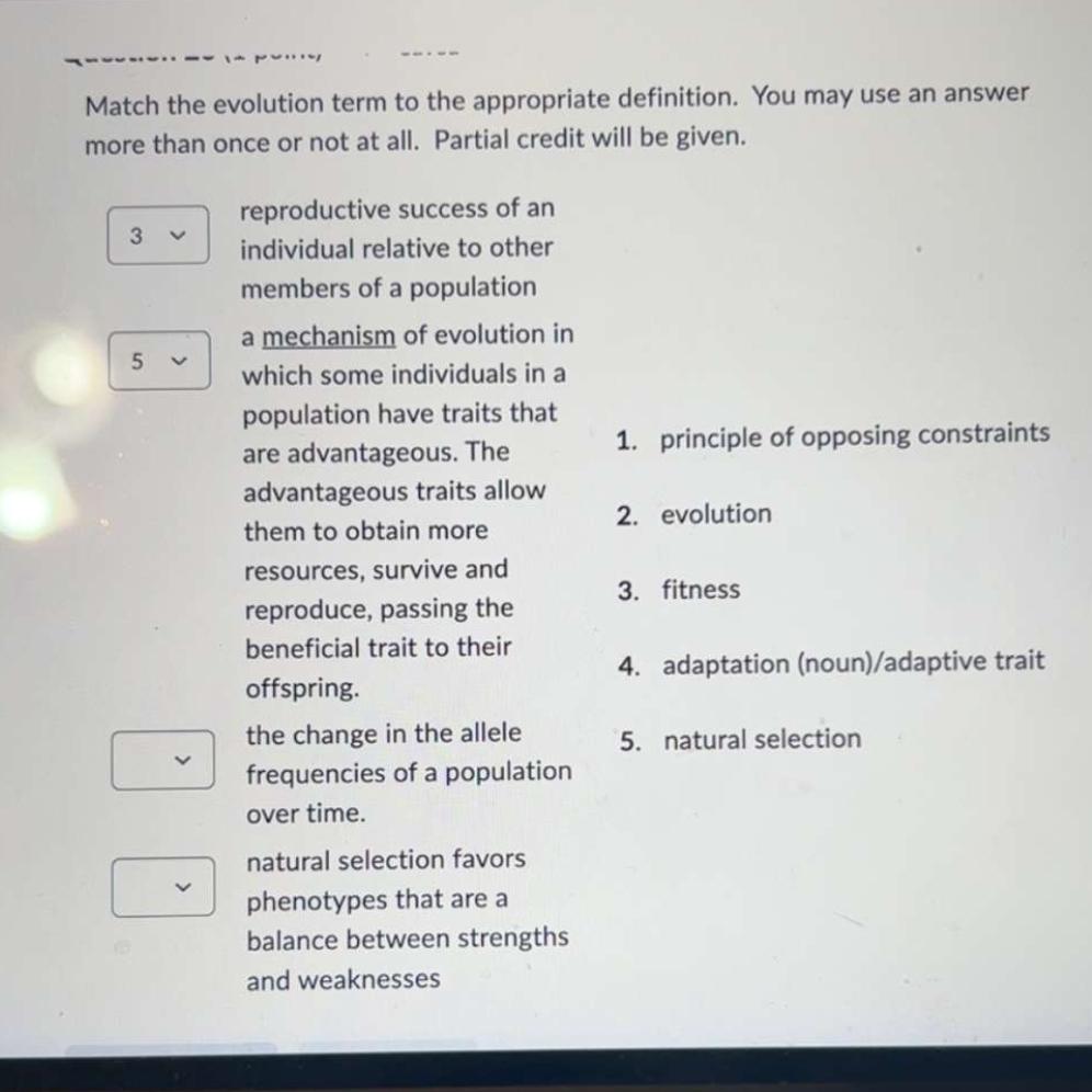 Solved Match the evolution term to the appropriate | Chegg.com
