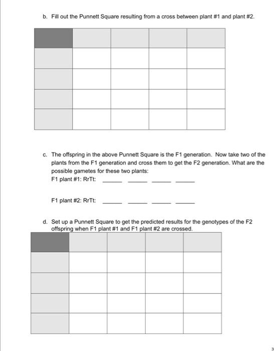 Solved In this exercise, we will determine inheritance of | Chegg.com