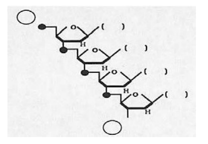 Solved PLEASE LABEL ALL PARTS ON THE IMAGE TOO! 1. ﻿Refer to | Chegg.com
