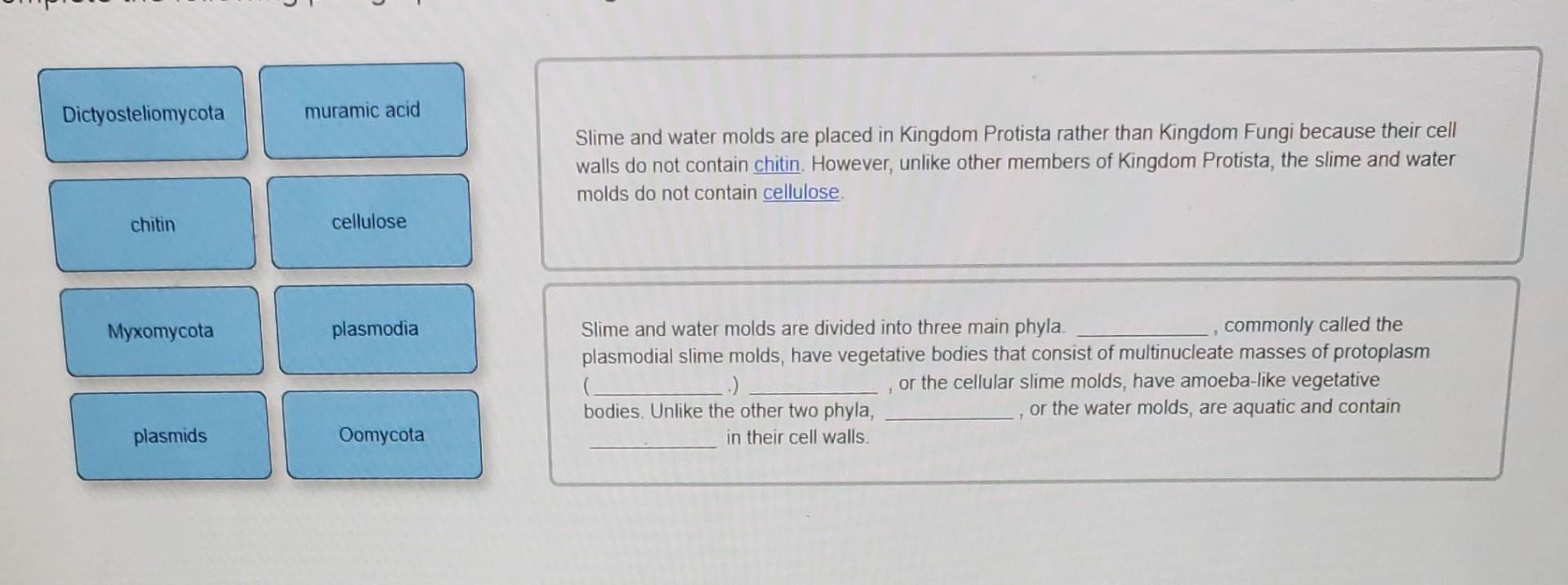 Label each of the following structures found within | Chegg.com