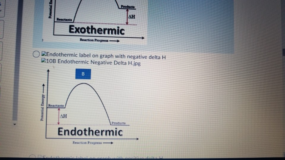 Solved Which of the following identifies the kind of | Chegg.com