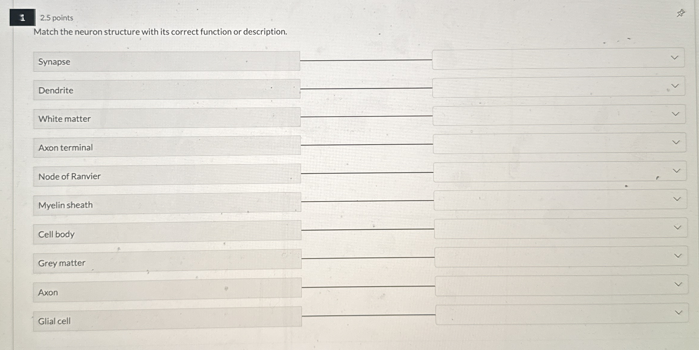 Solved 12.5 ﻿pointsMatch the neuron structure with its | Chegg.com