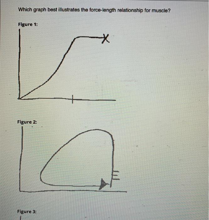 Solved Which graph best illustrates the force-length | Chegg.com