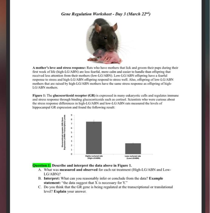 Solved Gene Regulation Worksheet - Day 3 (March 22md) ) A | Chegg.com