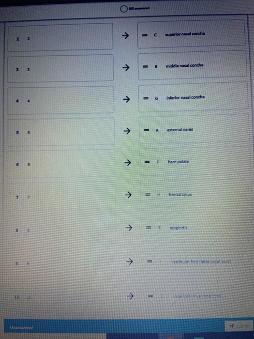 Solved a Matching Activity 1-Group 1 Homework. Unanswered | Chegg.com