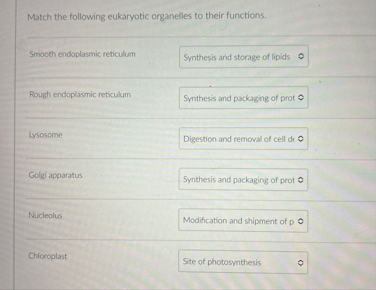 Solved Match the following eukaryotic organelles to their | Chegg.com