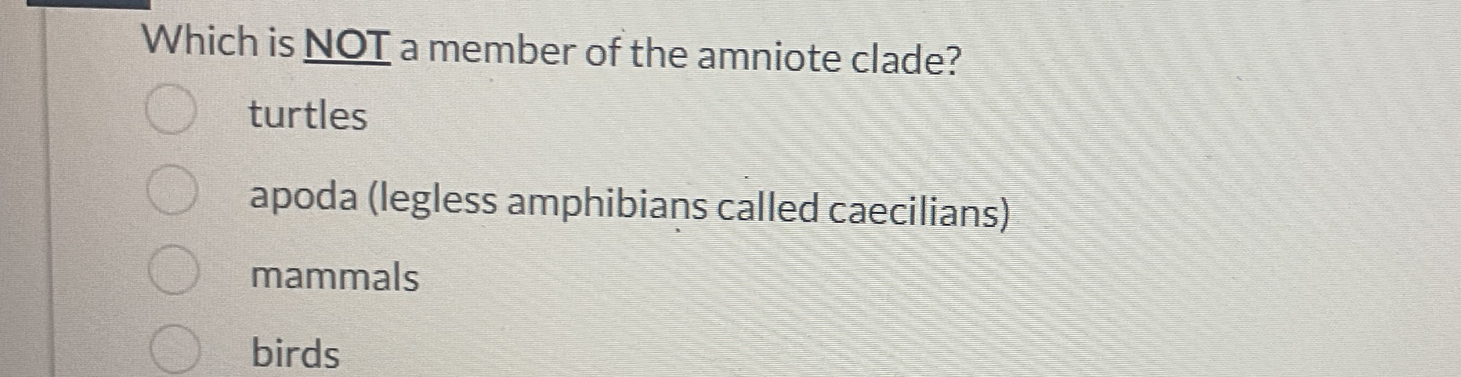 Solved Which is NOT a member of the amniote | Chegg.com