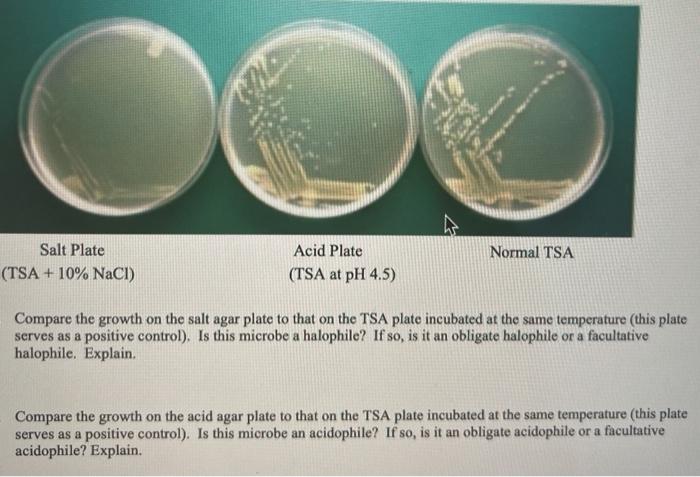 Solved Normal TSA Salt Plate (TSA + 10% NaCl) Acid Plate | Chegg.com